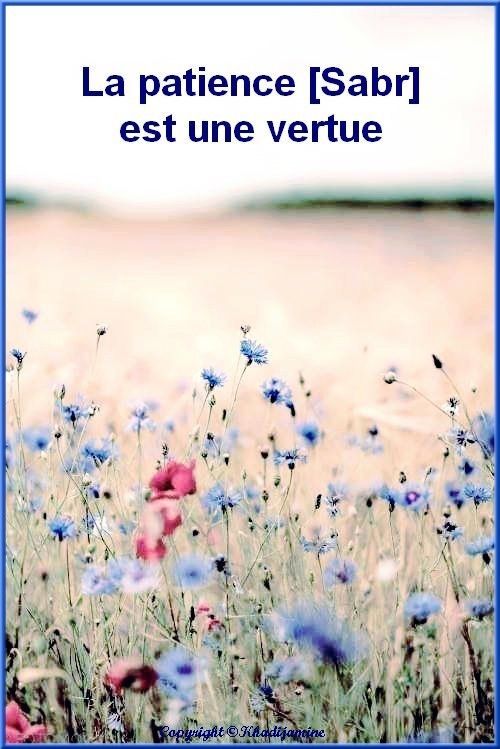 La Patience Est Une Vertue
