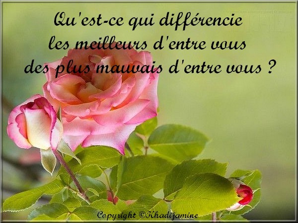 Qu'est-ce qui différencie les meilleurs d'entre vous Qu'est-ce qui différencie les meilleurs d'entre vous